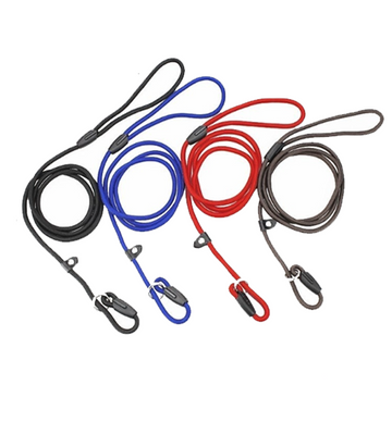 Leashes, Collars & Harness For Dog – Pet Culture PH