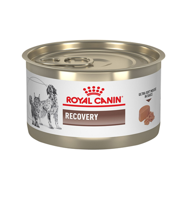 Royal Canin Veterinary Diet RECOVERY 195g Dog & Cat Wet Food – Pet ...